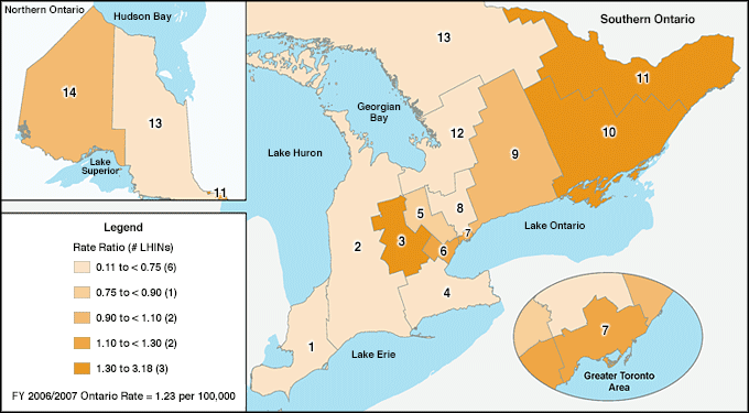 Stenting for Peripheral Artery Disease in the Lower Extremities ...